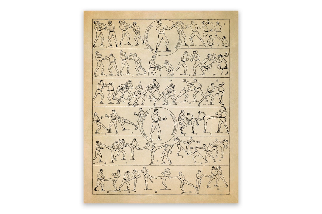 Vintage Boxing Poster, Boxing Styles and Techniques Training Chart ...