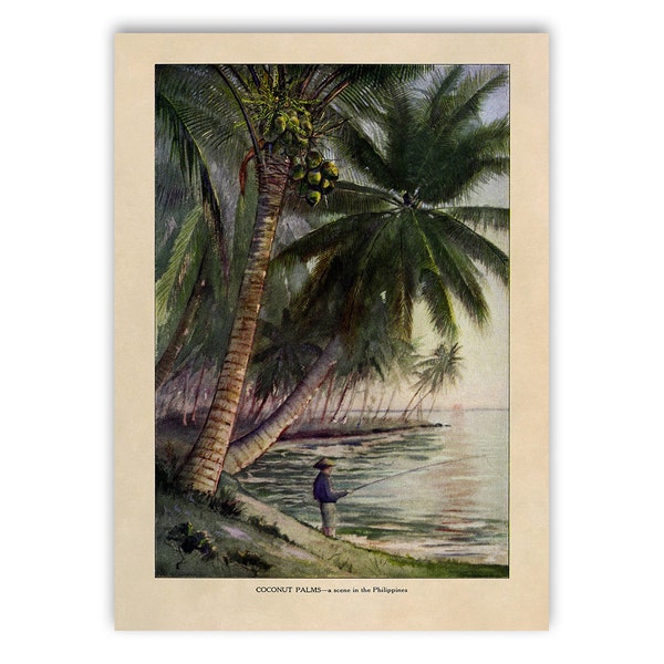 Coconut Print - Etsy