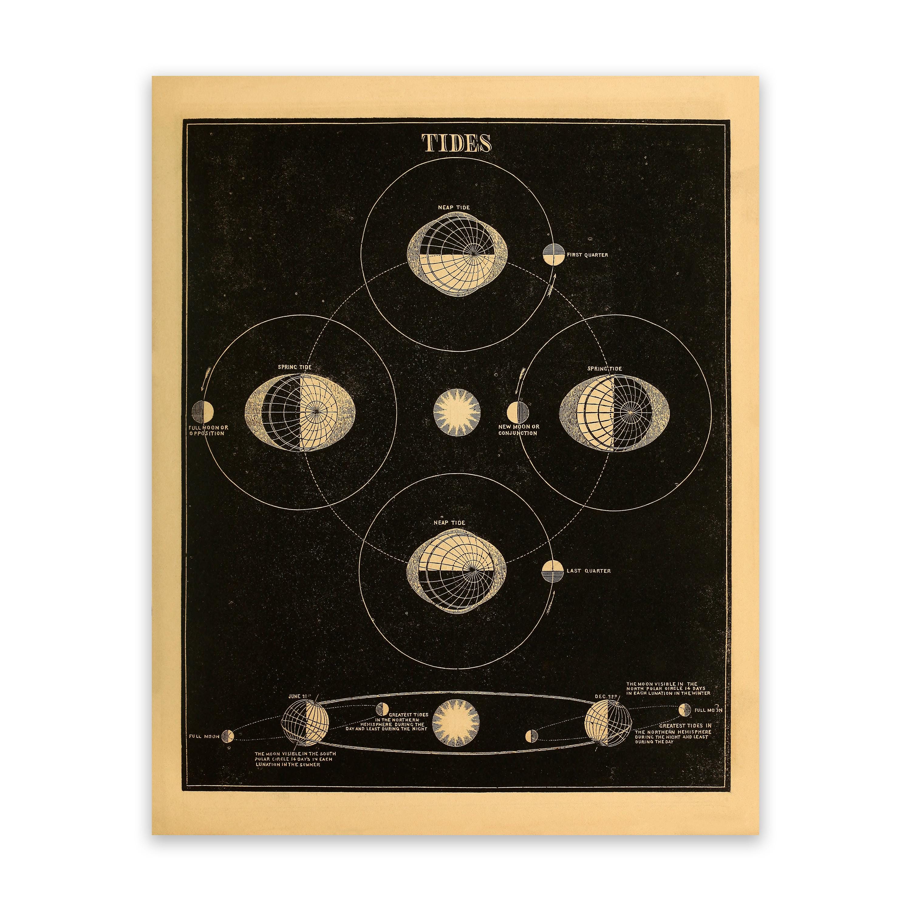 Vintage Ocean Tides Chart Print: Earth, Sun & Moon Astronomy Poster ...