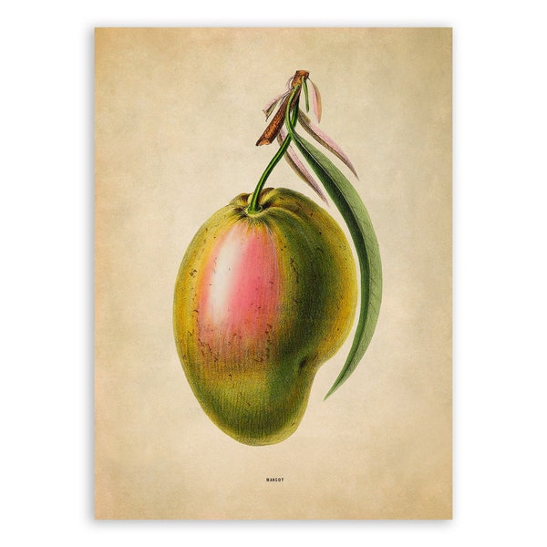 Mango Print - Etsy