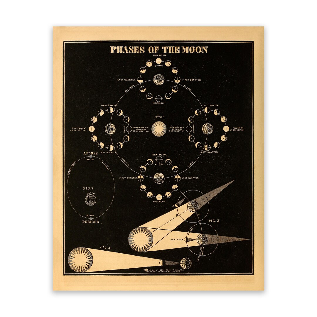 Phases of the Moon Illustration, Astronomy Poster, Old Moon Chart Circa ...