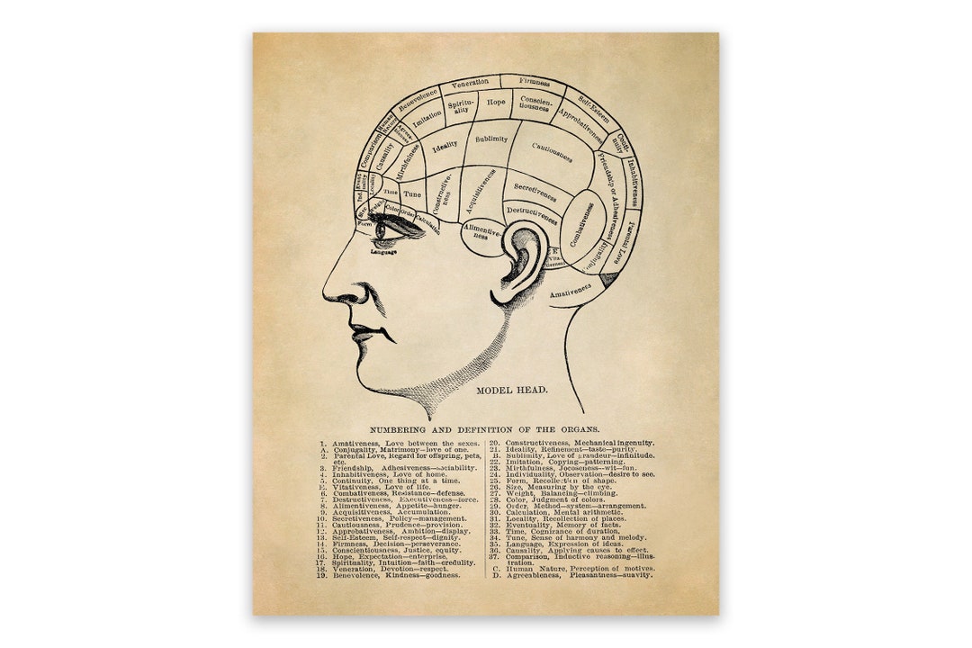 Phrenology Brain Chart Print: Vintage Victorian Psychology Illustration ...