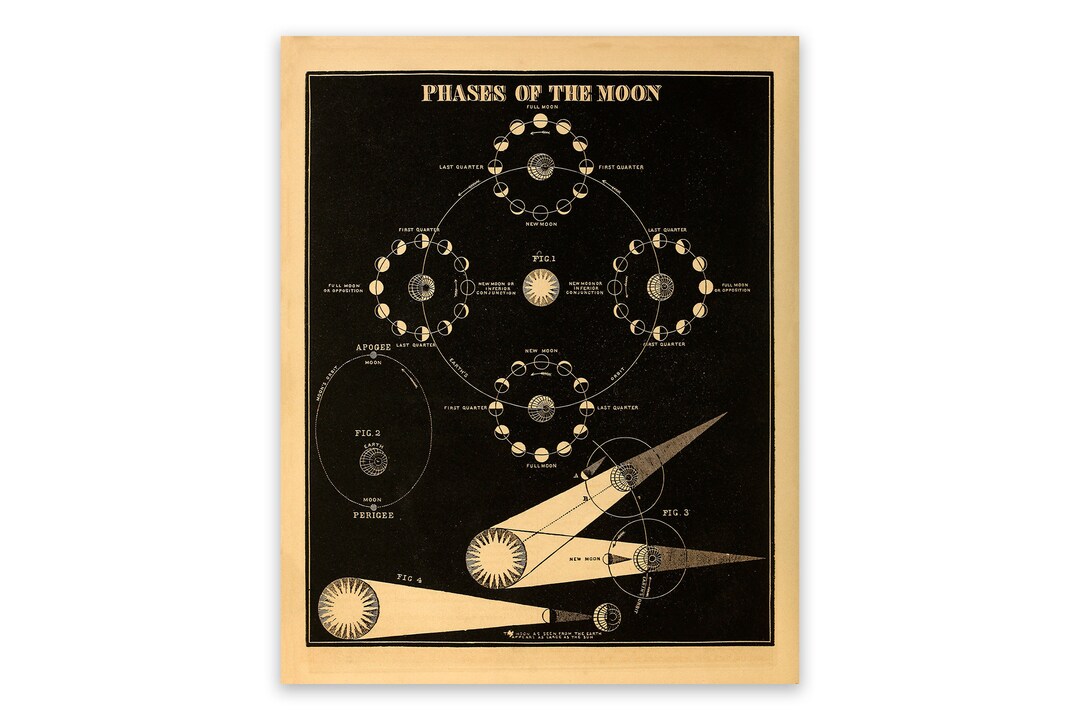 Phases of the Moon Illustration, Astronomy Poster, Old Moon Chart Circa ...