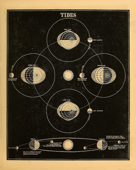 Astronomy Ocean