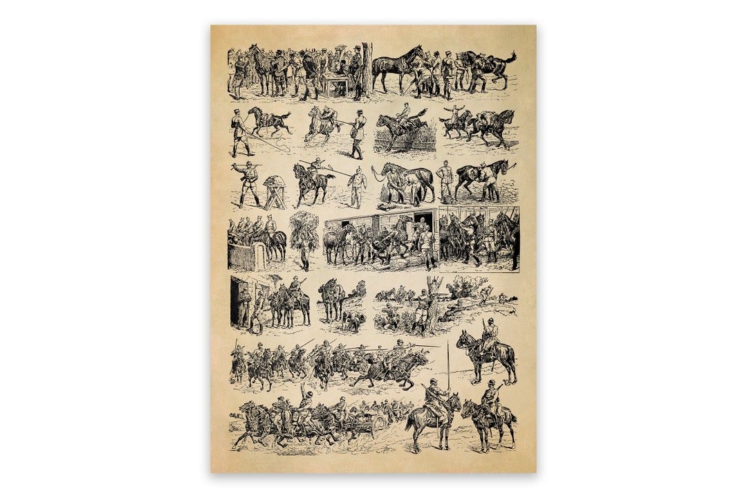 Historic Horse Cavalry Poster, Military Horseback Equestrian Training ...