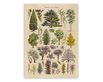 Tree Leaves Identification Poster British Species - Etsy