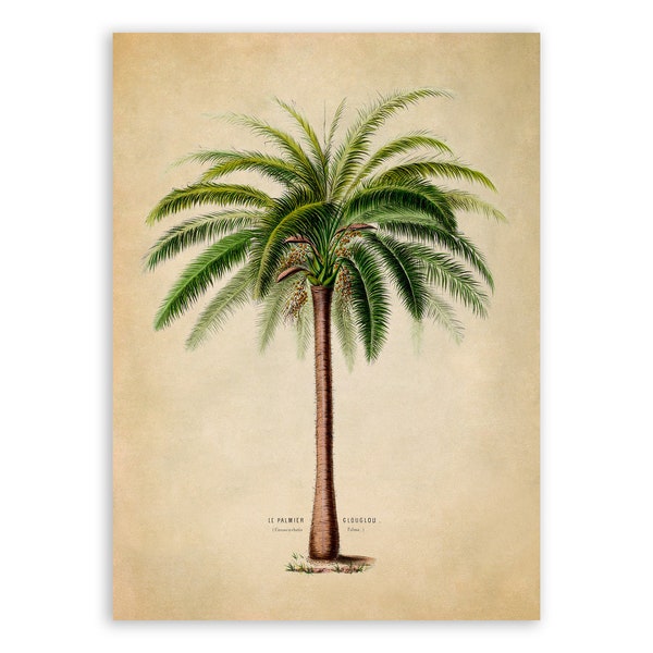 Vintage Botanical - Etsy