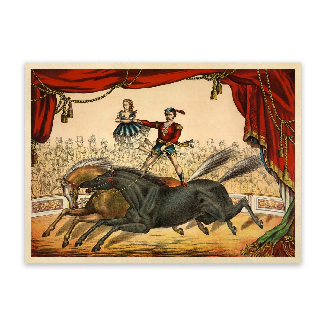Circus Horse Rider Poster Old Circus Animal Themed Wall Art, Premium ...