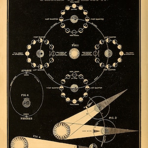 Phases of the Moon Illustration, Astronomy Poster, Old Moon Chart Circa ...