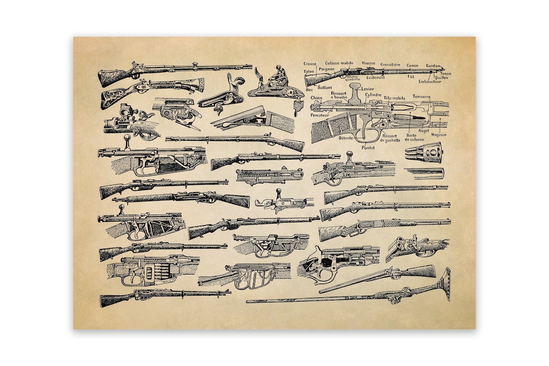 Antique Firearms Illustration, Old Types of Guns Poster, Premium ...