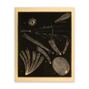 Comet Illustration, Astronomy Poster, Diagram of Various Comets ...