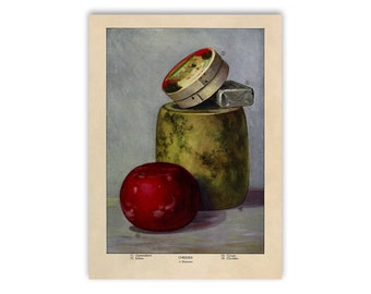 Cheese Print Kitchen Art Print Kitchen Wall Art Food Print - Etsy