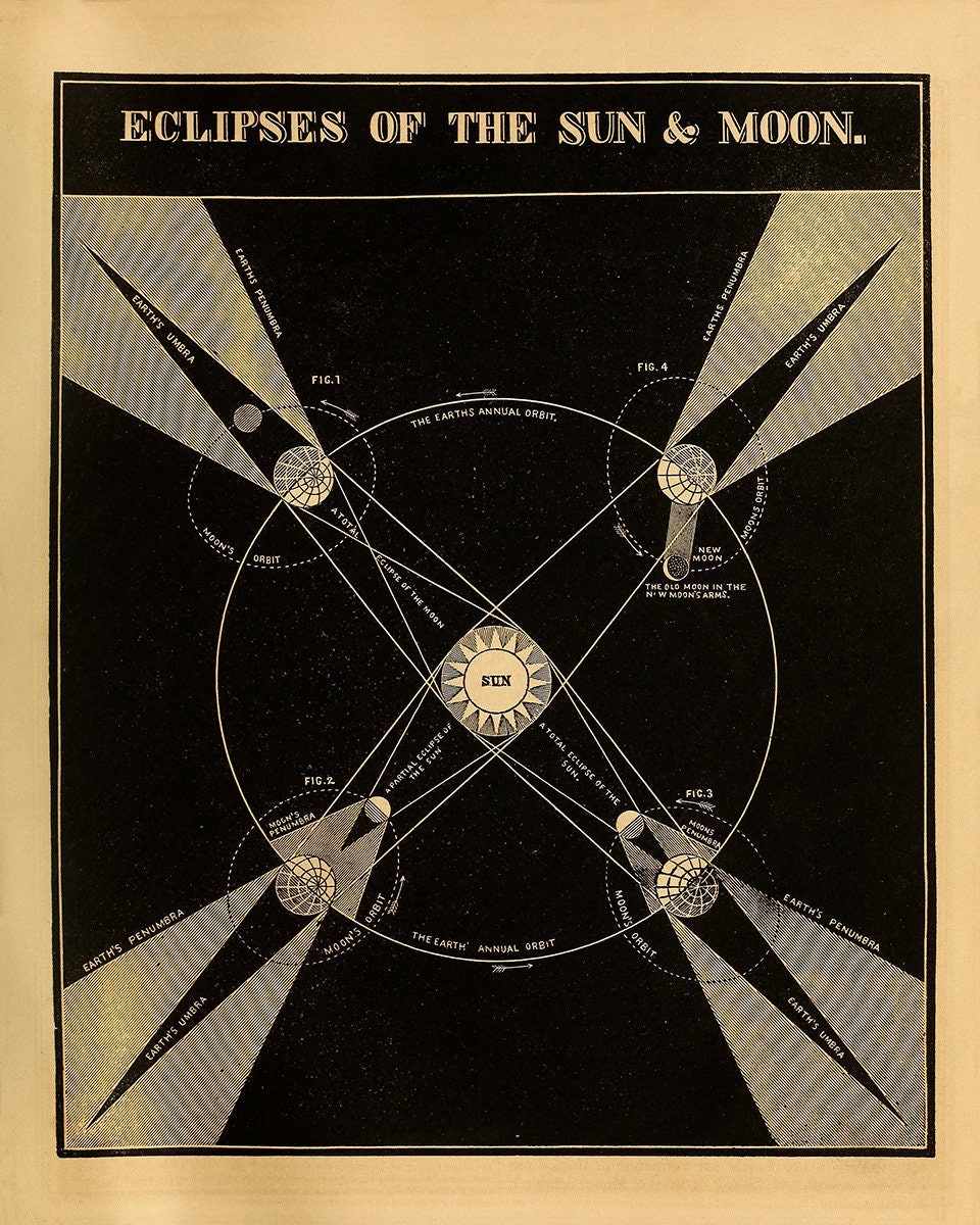 Sun & Moon Eclipse Illustration Astronomy Poster Solar | Etsy