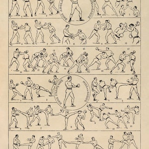 Vintage Boxing Poster, Boxing Styles and Techniques Training Chart ...