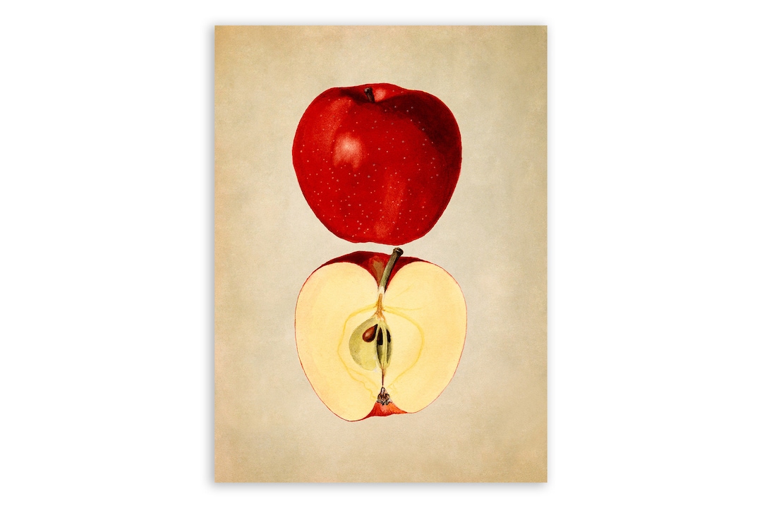 Vintage Red Apple Print, Fruit Themed Botanical Watercolor Painting ...