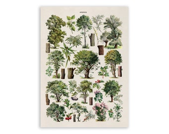 Tree Leaves Identification Poster British Species - Etsy