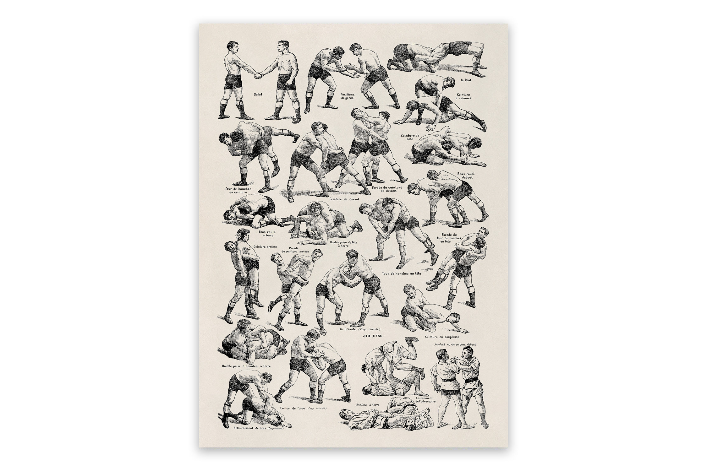 Jiu Jitsu Submissions Poster