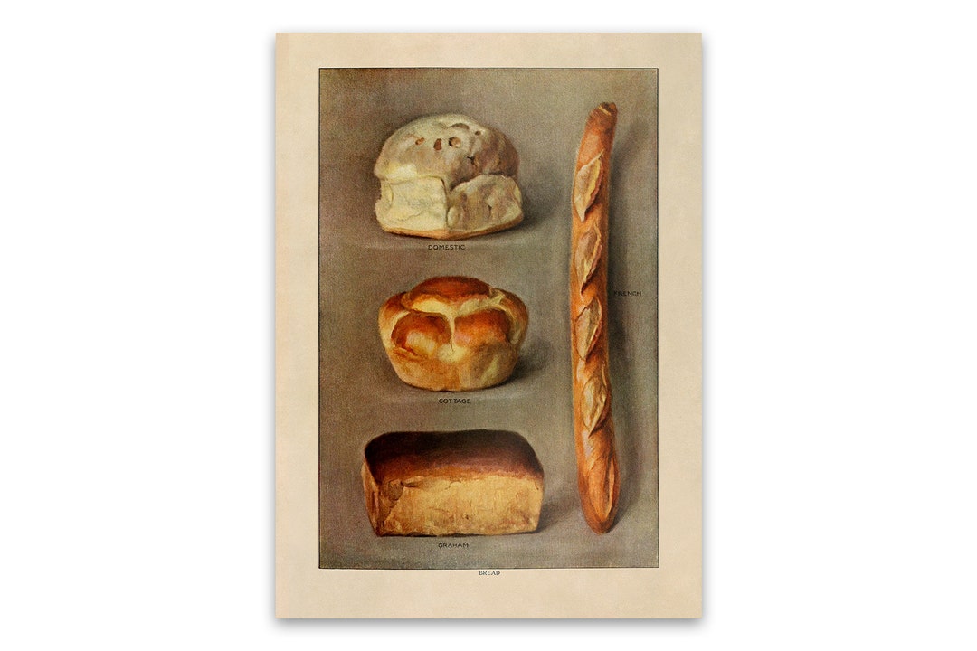 Baked Bread Print, Old Breads Illustration, Kitchen Baker Decor Poster ...