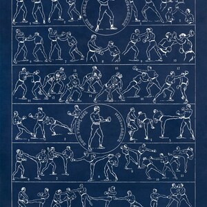 Vintage Boxing Poster, Boxing Styles and Techniques Training Chart ...