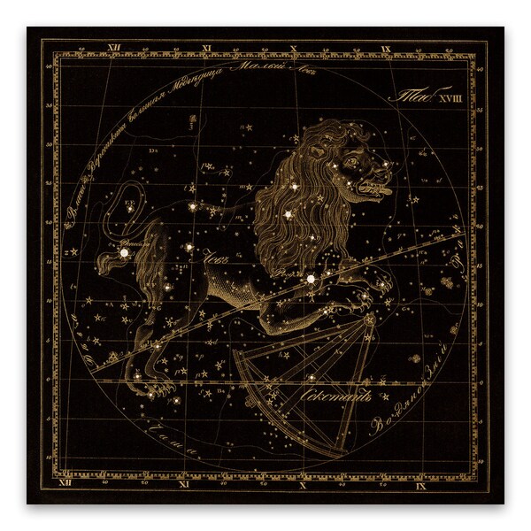 Zodiac Astrology Vintage Style Poster - Etsy