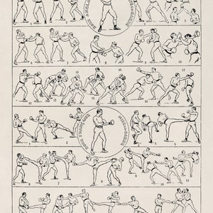 Vintage Boxing Poster, Boxing Styles and Techniques Training Chart ...