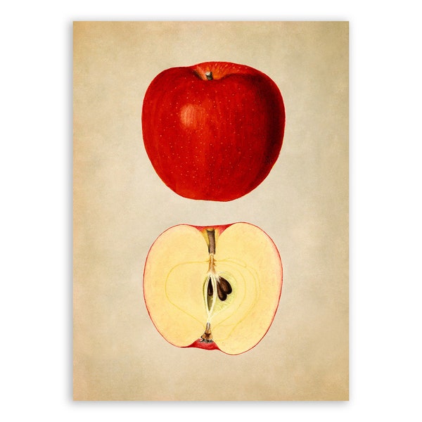 Red Apple Print - Etsy