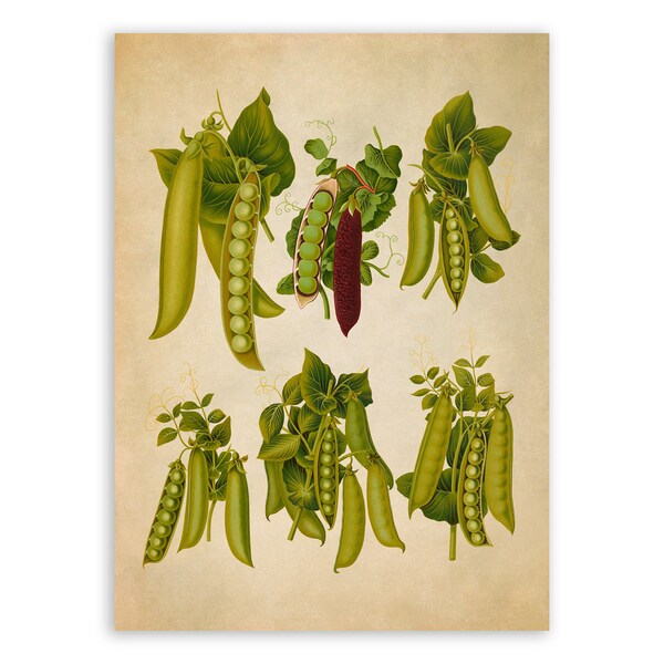 Vegetable Art Print - Etsy