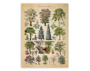 Tree Leaves Identification Poster British Species - Etsy