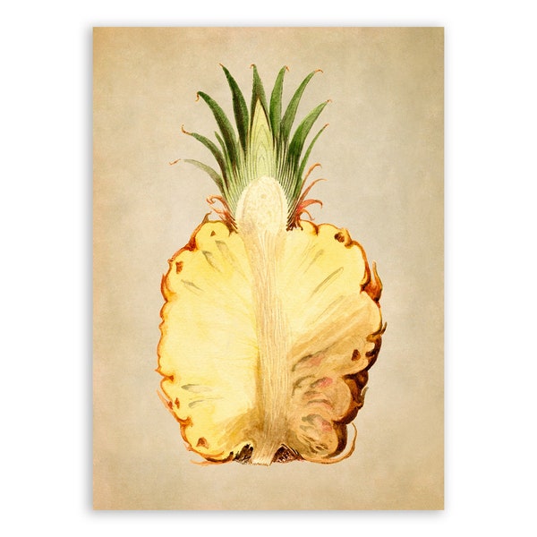 Pineapple Poster - Etsy