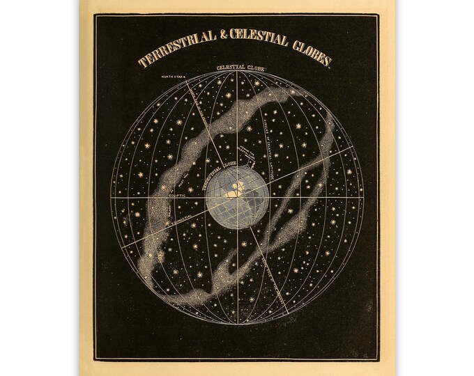Astronomy Natural Science the Large-scale Structure Includes Galaxies ...