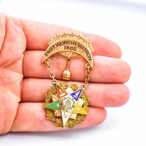 Order of the Star Eastern Star Past Matron Lapel Pin | Etsy