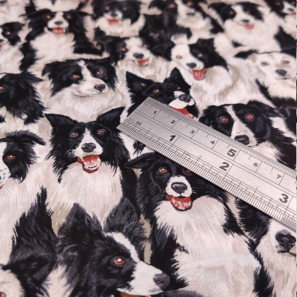 Border Collie Fabric - Etsy