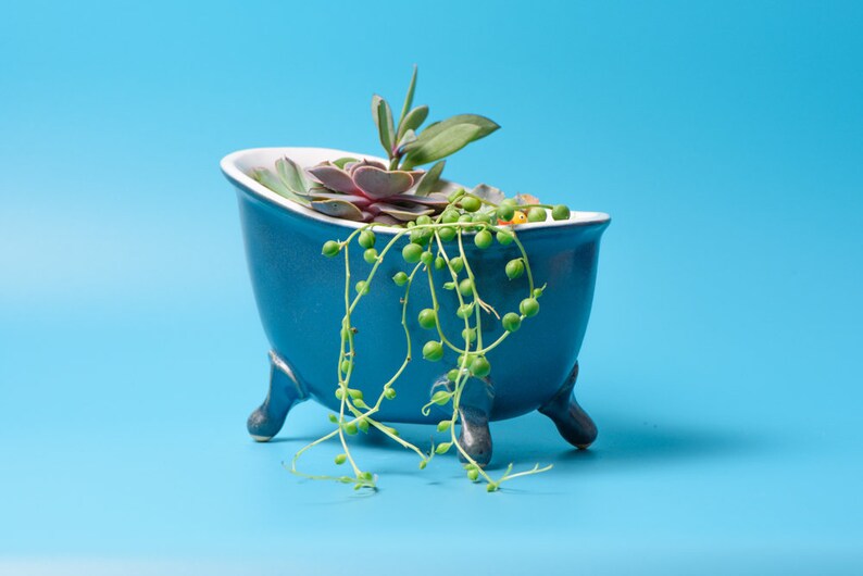 Flower Planter Holder Mini Cactus Planter Pots Flower Pot | Etsy