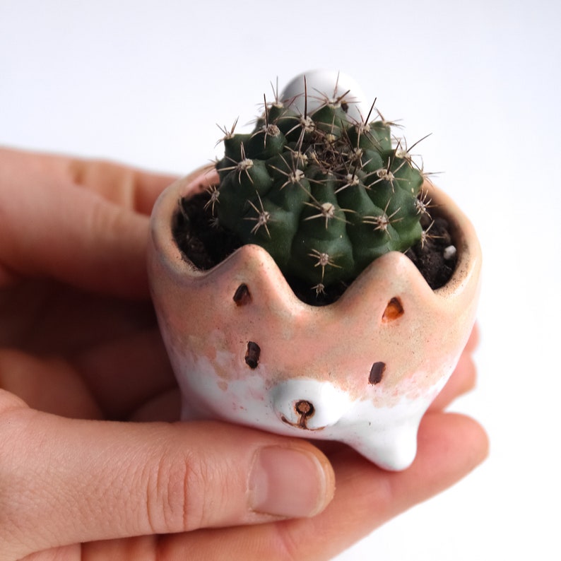 Ceramic Cactus Pot Indoor Succulent Pots Handmade Planter Etsy Uk