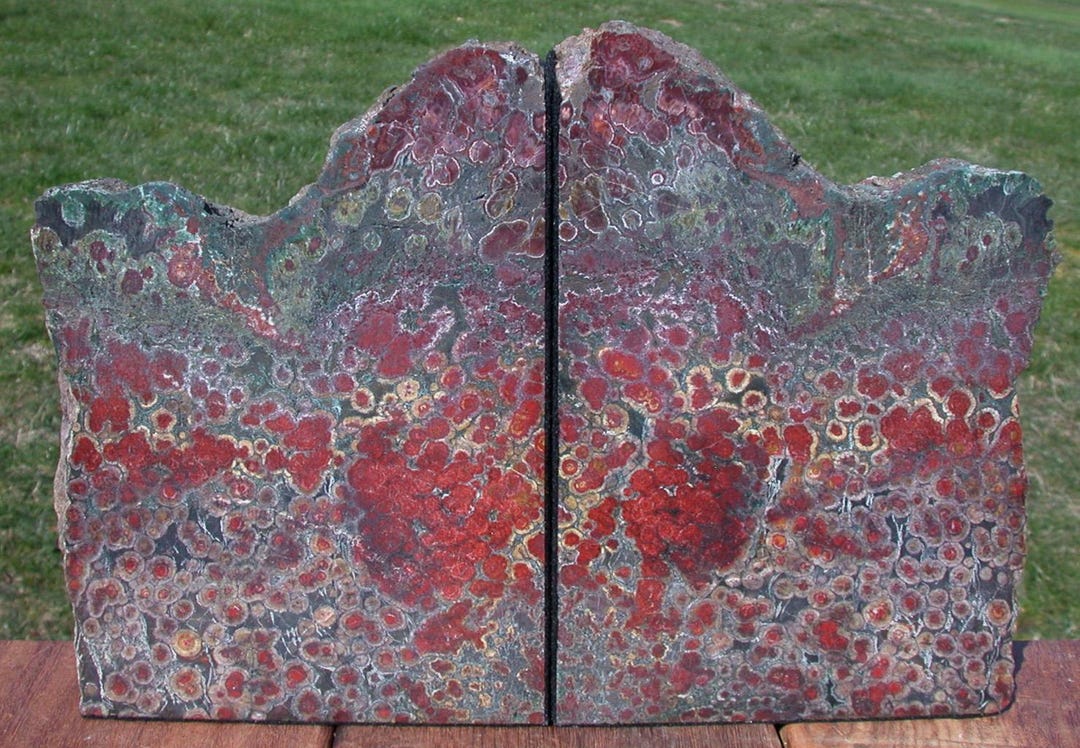 WILD & CRAZY 13 Lb Green and Red Spotted Hampton Butte Oregon Petrified ...