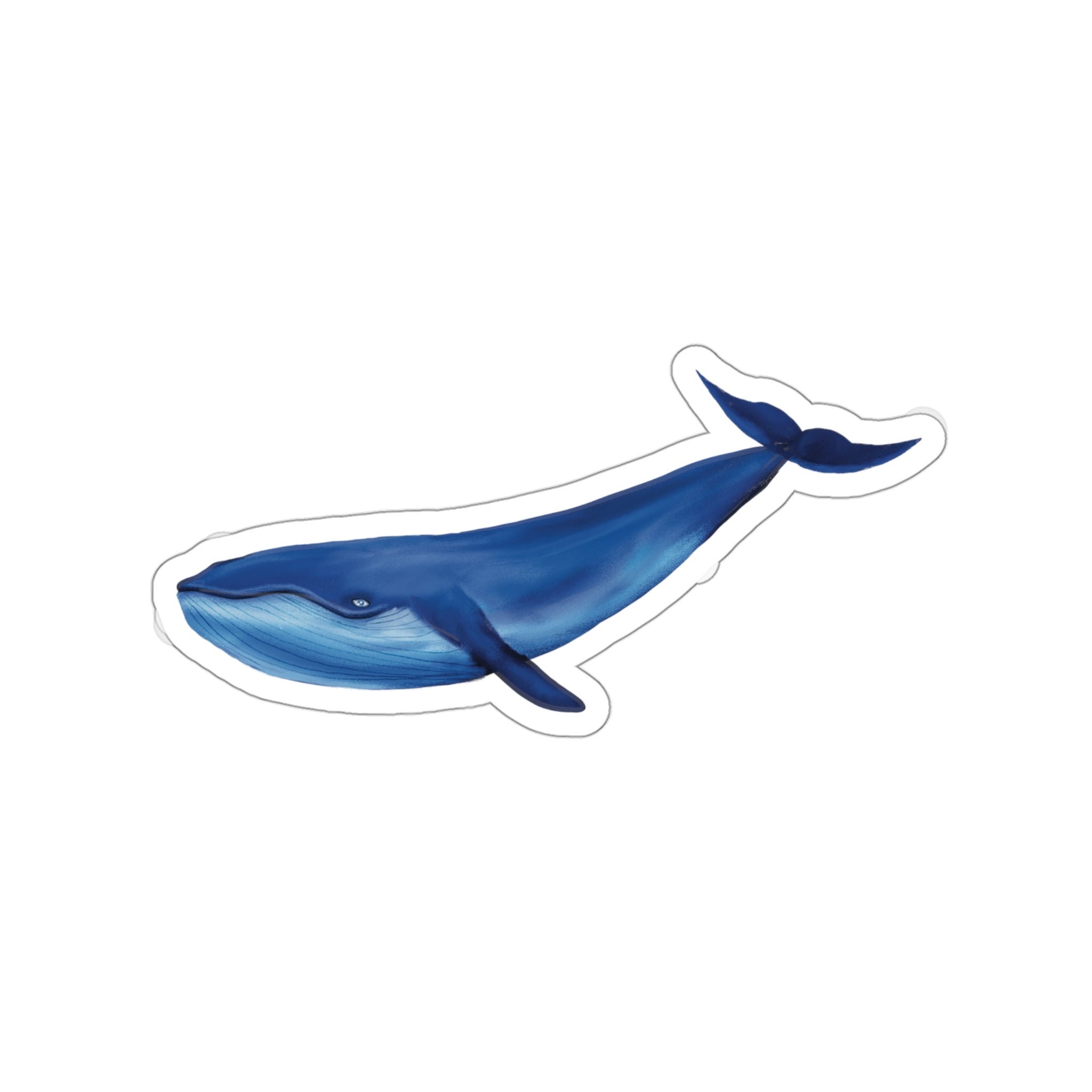 Cute Blue Whale Sticker, Illustration Art Sticker for Water Bottle ...