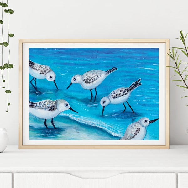 Seabird Art - Etsy