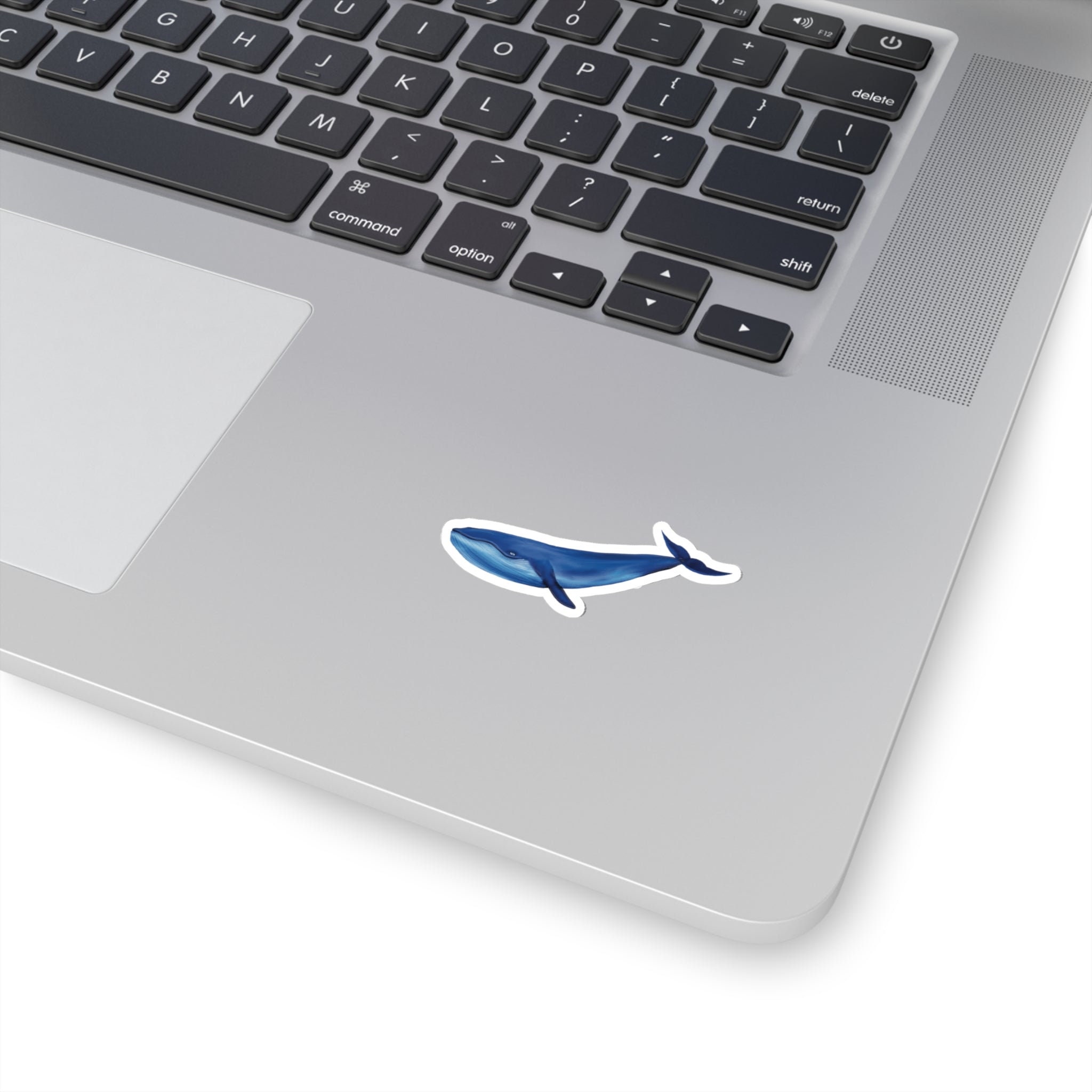 Cute Blue Whale Sticker, Illustration Art Sticker for Water Bottle ...