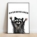 Raccoon Hands Cute Printable PNG, Digital Download Raccoon Wall Art ...