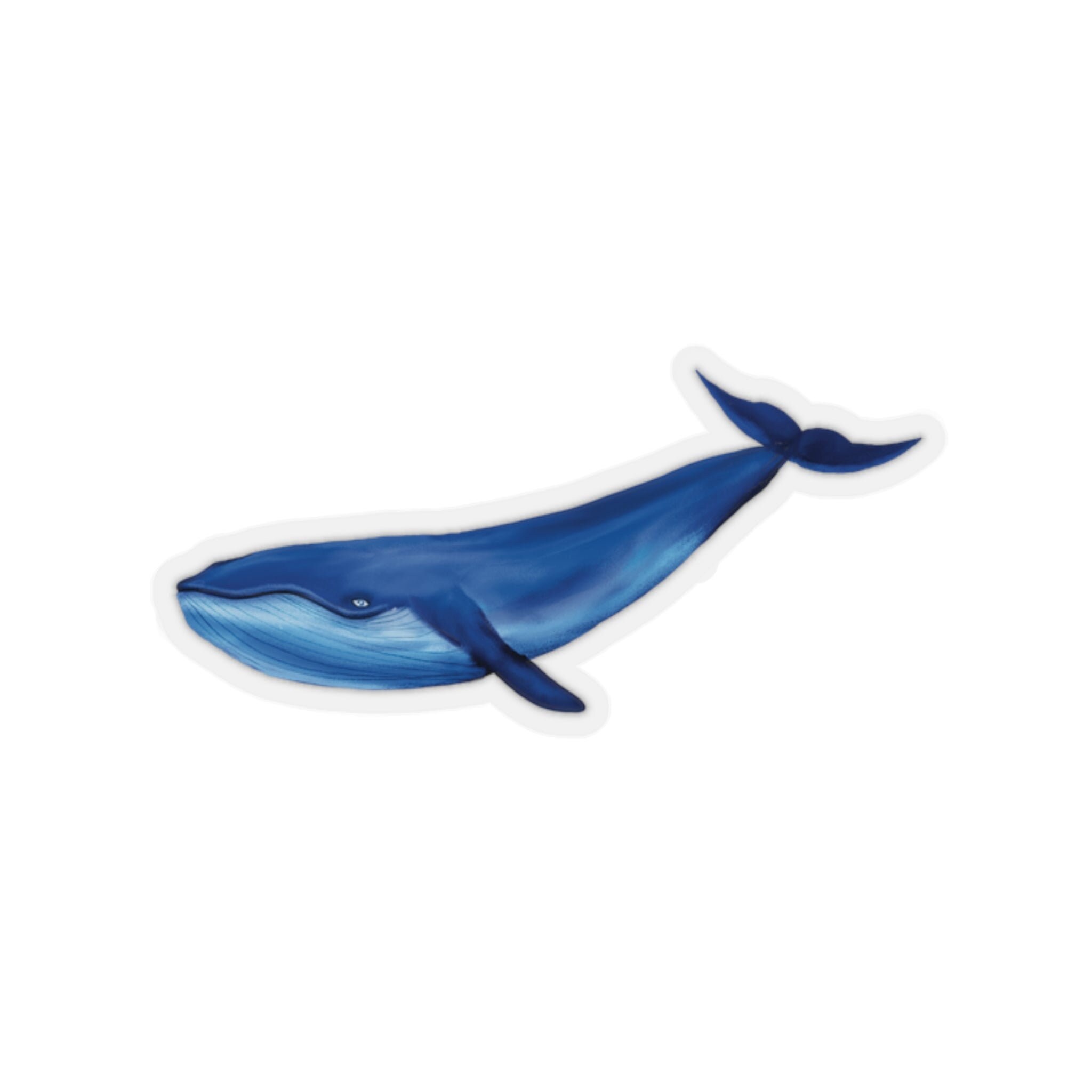 Cute Blue Whale Sticker, Illustration Art Sticker for Water Bottle ...