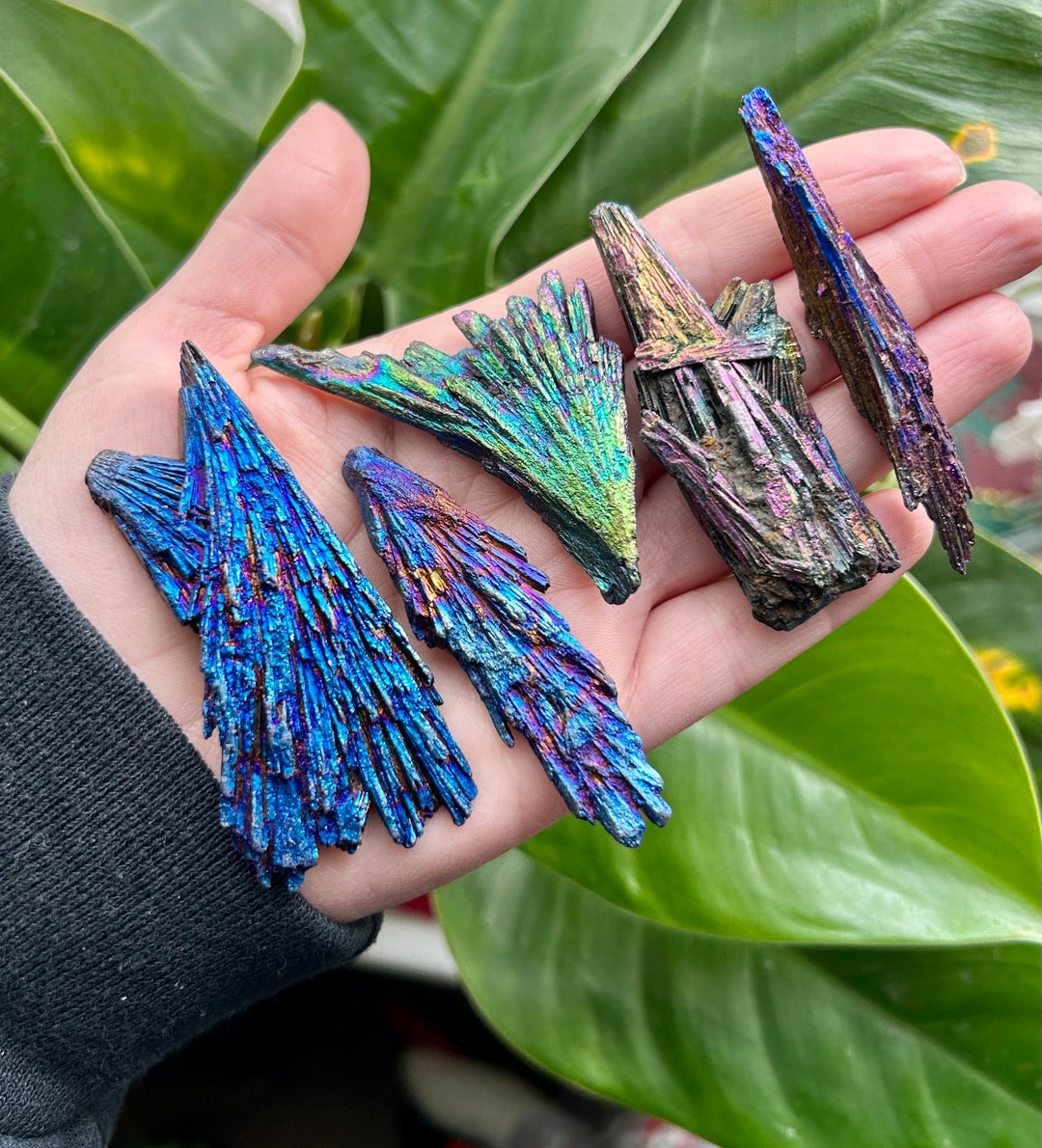 Black Aura Titanium Kyanite Blue Kyanite Small Crystal Fan Peacock ...