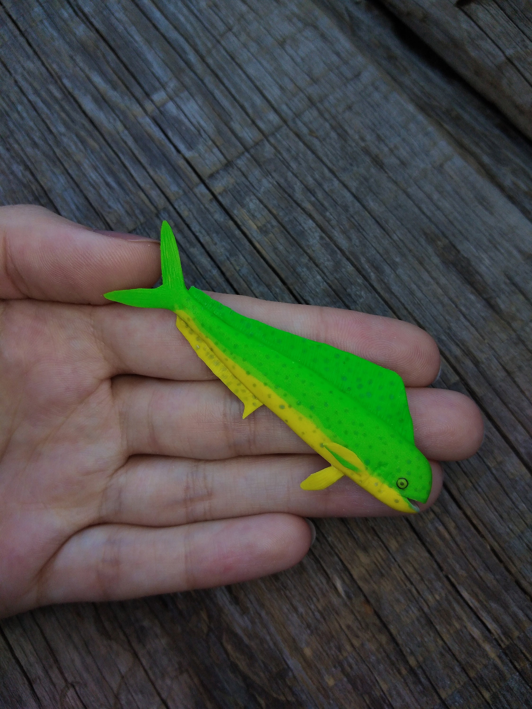 Miniature Mahi-Mahi fish tiny fish scale 1/12 | Etsy