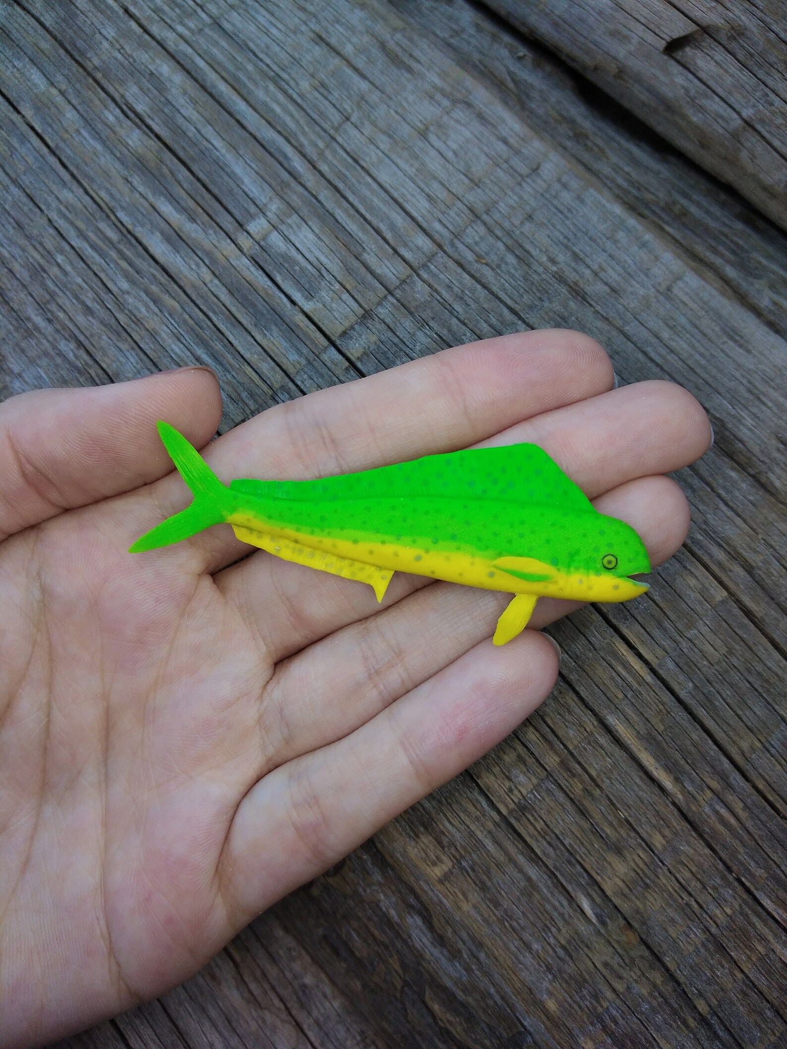 Miniature Mahi-Mahi fish tiny fish scale 1/12 | Etsy