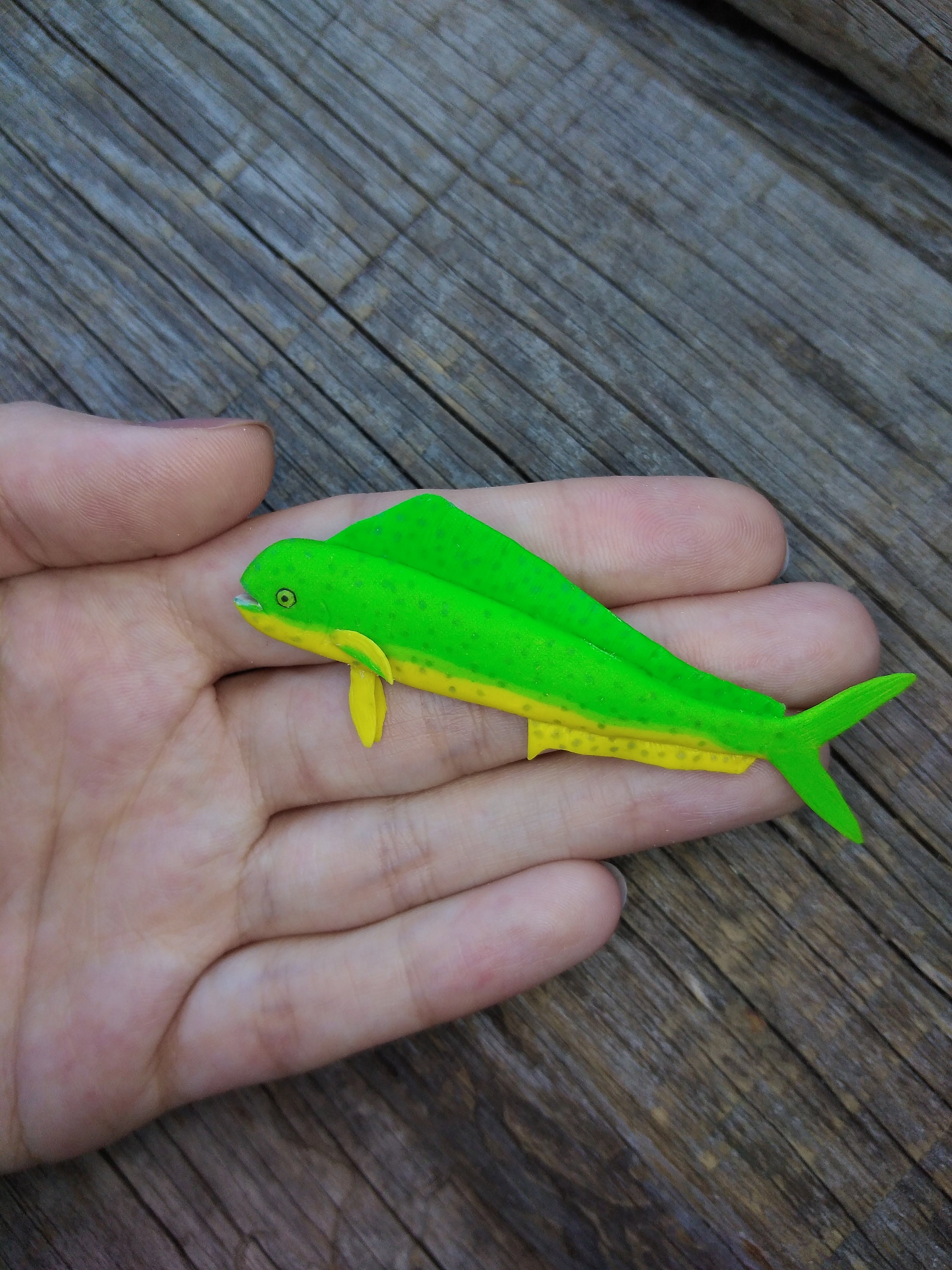 Miniature Mahi-Mahi fish tiny fish scale 1/12 | Etsy