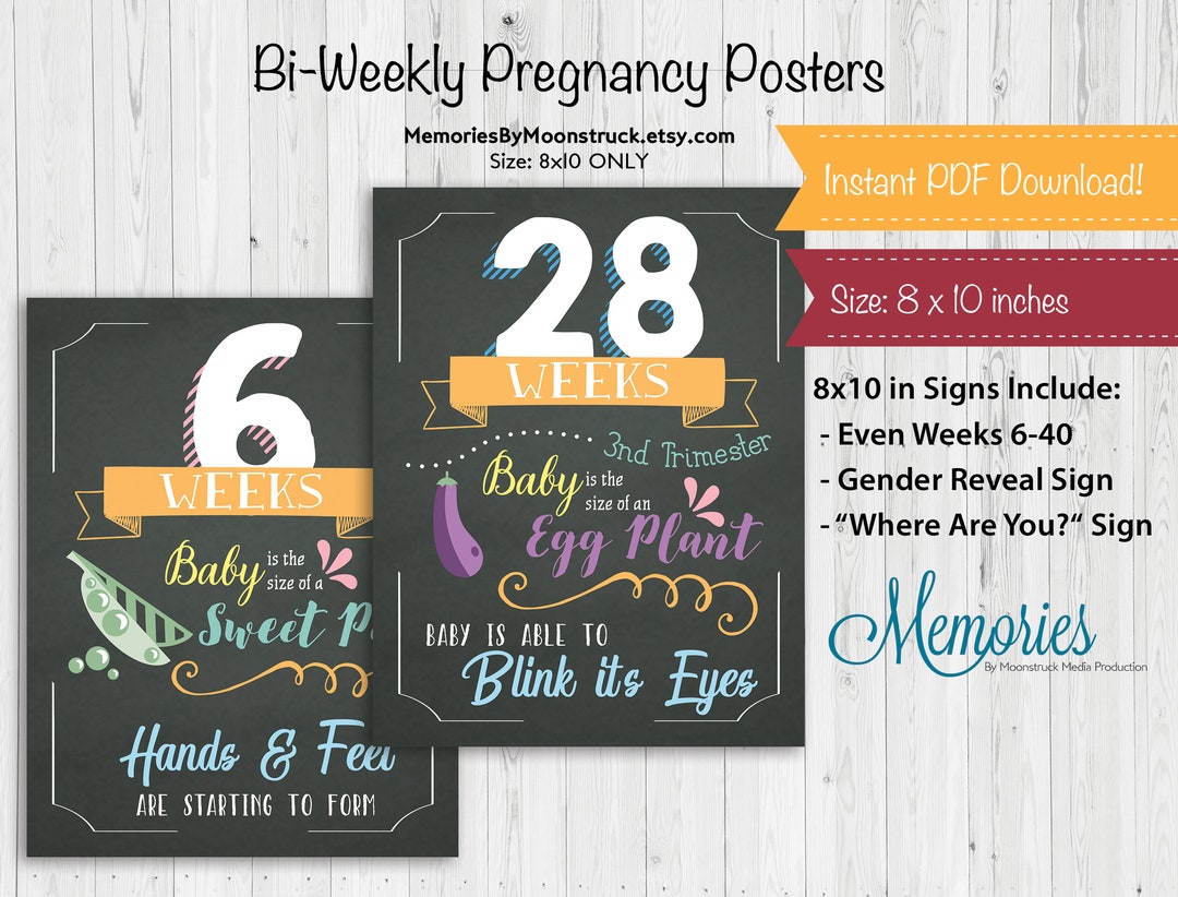 8x10 Bi-weekly Pregnancy Board Sign, Week by Week Pregnancy Sign, Baby ...