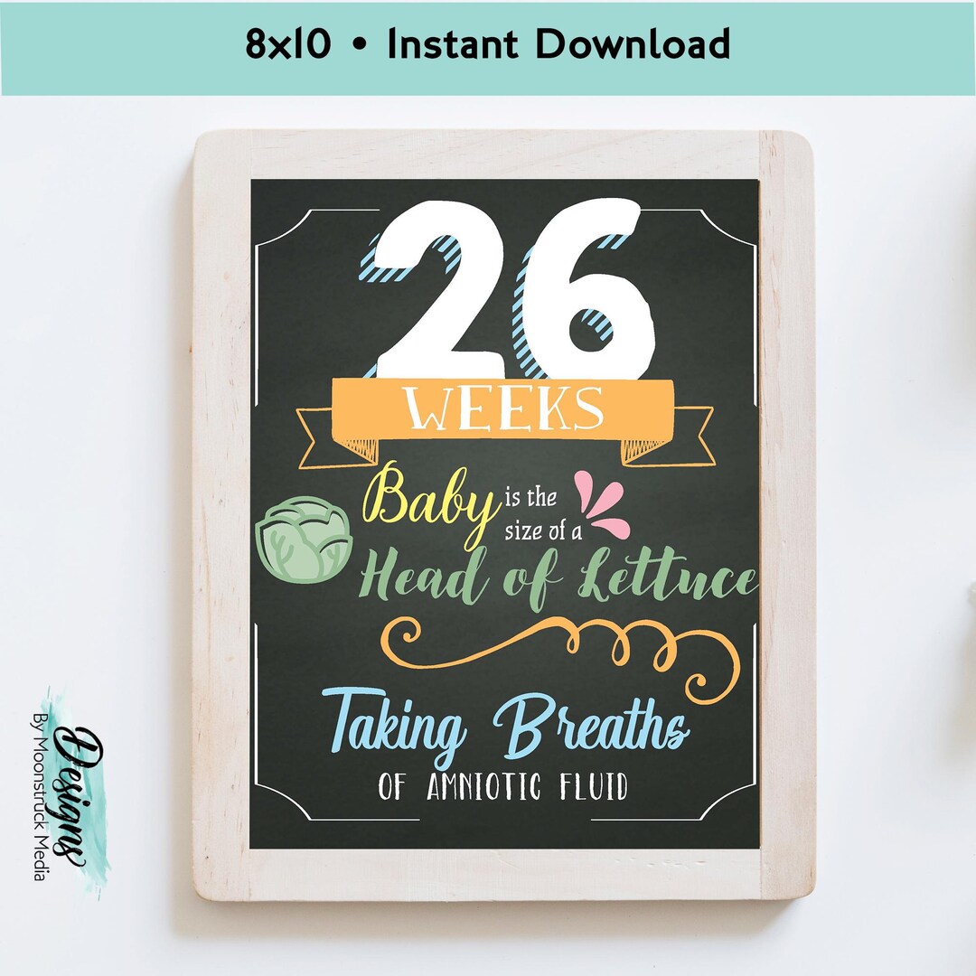 8x10 Bi-weekly Pregnancy Board Sign | Baby Bump Photo Prop | Bi-weekly ...