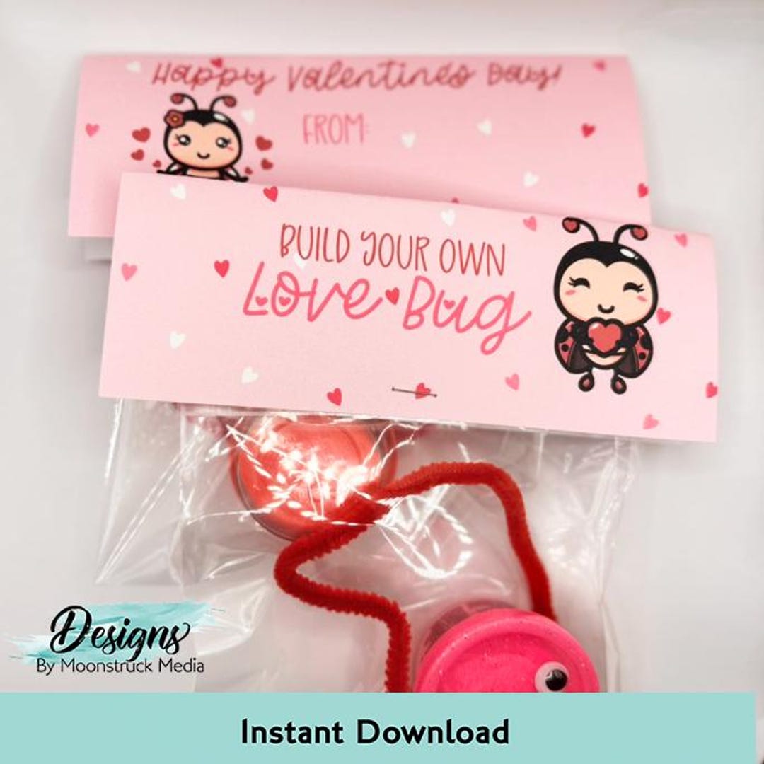 Build Your Own Love Bug Valentine’s Day Craft Kit | Ladybug Theme ...