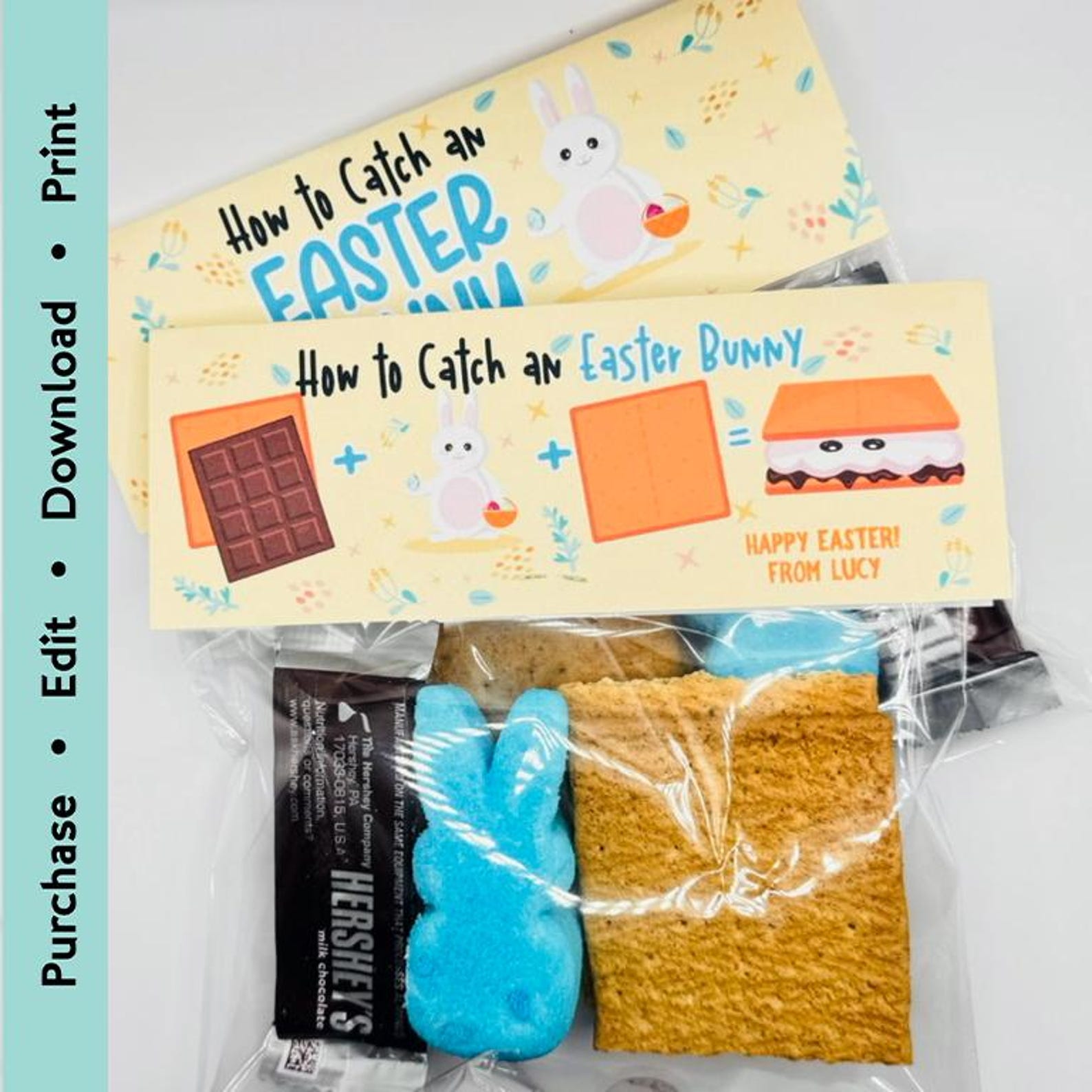 How to Catch an Easter Bunny Treat Bag Topper | Printable Easter Treat ...