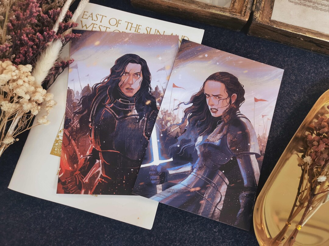 Reylo - Battlefield Set of 2 Postcard Print - Etsy