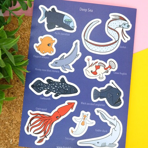 Deep Sea Creatures Sticker Sheet - Etsy